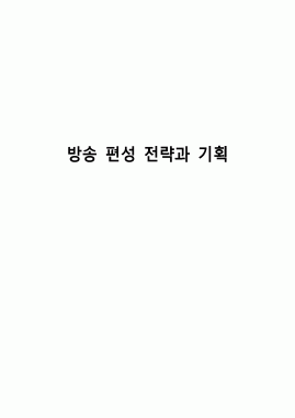 방송 편성 전략과 기획-1페이지