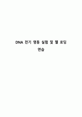 DNA 전기 영동 실험 및 젤 로딩 연습-1페이지