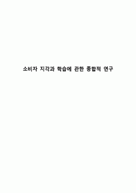 소비자 지각과 학습에 관한 종합적 연구-1페이지