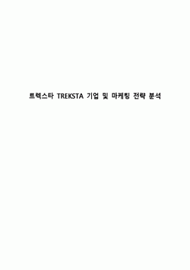 트렉스타 TREKSTA 기업 및 마케팅 전략 분석-1페이지