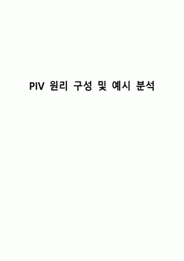 PIV 원리 구성 및 예시 분석-1페이지