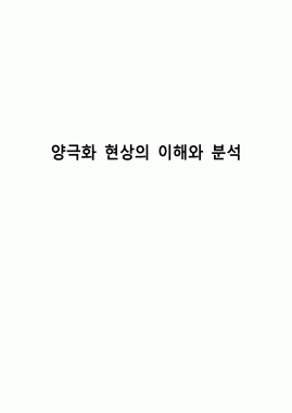 양극화 현상의 이해와 분석-1페이지