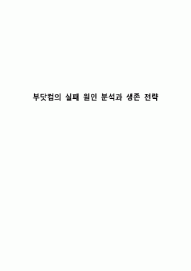 부닷컴의 실패 원인 분석과 생존 전략-1페이지