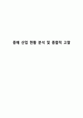중매 산업 현황 분석 및 종합적 고찰-1페이지