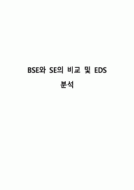 BSE와 SE의 비교 및 EDS 분석-1페이지