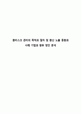 환리스크 관리의 목적과 절차 및 환산 노출 동향과 사례 기법과 향후 방안 분석-1페이지