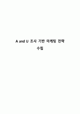 A and U 조사 기반 마케팅 전략 수립-1페이지
