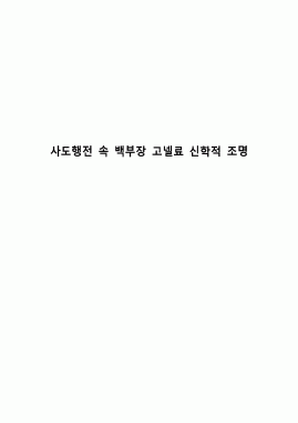 사도행전 속 백부장 고넬료 신학적 조명-1페이지