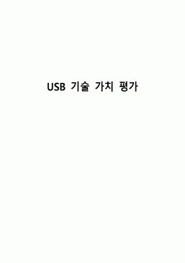 USB 기술 가치 평가-1페이지