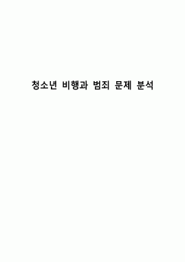 청소년 비행과 범죄 문제 분석-1페이지
