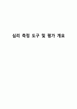 심리 측정 도구 및 평가 개요-1페이지