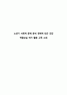 노년기 사회적 문제 분석 경제적 빈곤 건강 역할상실 여가 활용 고독 소외-1페이지
