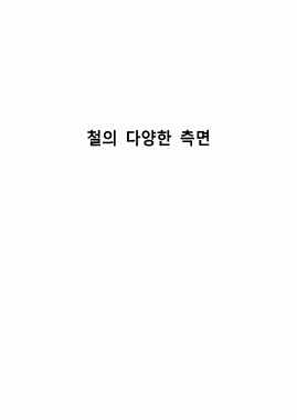철의 다양한 측면-1페이지