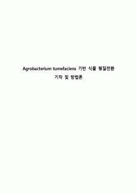 Agrobacterium tumefaciens 기반 식물 형질전환 기작 및 방법론-1페이지