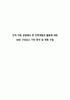 인적 자원 관점에서 본 인력개발과 활용에 대한 HRD 구성요소 기반 분석 및 계획 수립-1페이지