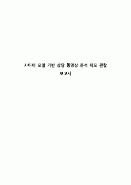 사티어 모델 기반 상담 동영상 분석 데모 관찰 보고서-1페이지