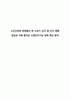노인간호학 관점에서 본 노년기 감각 및 인지 변화 양상과 치매 환자의 신경인지기능 장애 증상 분석-1페이지