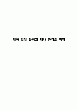 태아 발달 과정과 태내 환경의 영향-1페이지