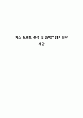 카스 브랜드 분석 및 SWOT STP 전략 제안-1페이지