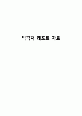 빅픽처 레포트 자료-1페이지