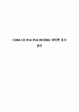 CSMA CD IPv4 IPv6 WCDMA 네티켓 조사 연구-1페이지