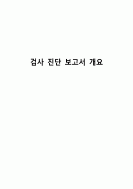 검사 진단 보고서 개요-1페이지