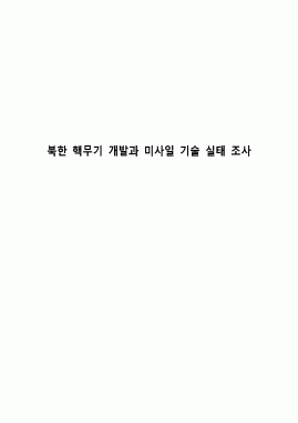 북한 핵무기 개발과 미사일 기술 실태 조사-1페이지