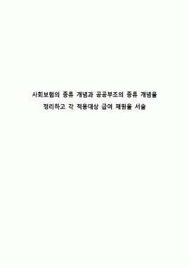 사회보험의 종류 개념과 공공부조의 종류 개념을 정리하고 각 적용대상 급여 재원을 서술-1페이지