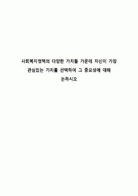 사회복지정책의 다양한 가치들 가운데 자신이 가장 관심있는 가치를 선택하여 그 중요성에 대해 논하시오-1페이지