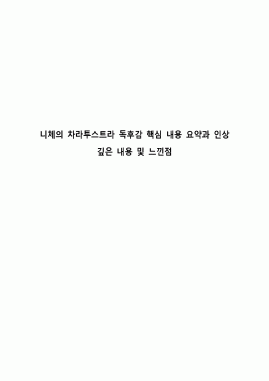 니체의 차라투스트라 독후감 핵심 내용 요약과 인상 깊은 내용 및 느낀점-1페이지