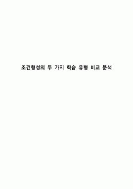 조건형성의 두 가지 학습 유형 비교 분석-1페이지