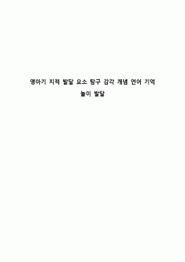 영아기 지적 발달 요소 탐구 감각 개념 언어 기억 놀이 발달-1페이지