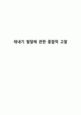태내기 발달에 관한 종합적 고찰-1페이지
