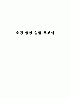 소성 공정 실습 보고서-1페이지