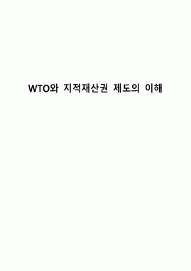 WTO와 지적재산권 제도의 이해-1페이지