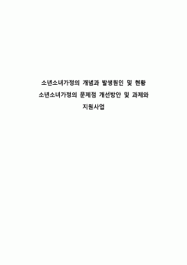 소년소녀가정의 개념과 발생원인 및 현황 소년소녀가정의 문제점 개선방안 및 과제와 지원사업-1페이지