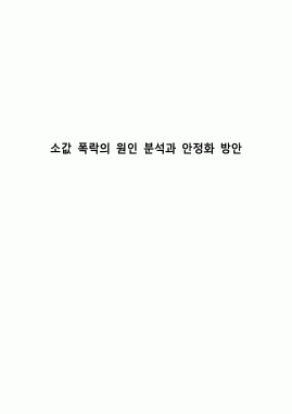 소값 폭락의 원인 분석과 안정화 방안-1페이지