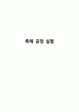 촉매 공정 실험-1페이지