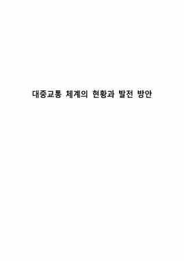 대중교통 체계의 현황과 발전 방안-1페이지