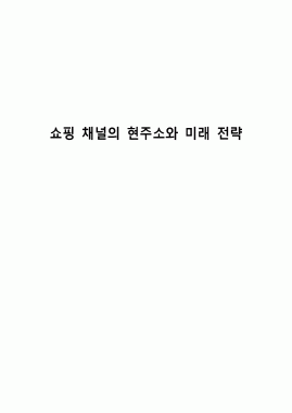 쇼핑 채널의 현주소와 미래 전략-1페이지