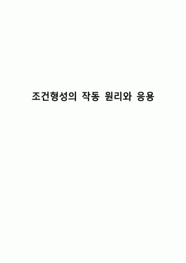 조건형성의 작동 원리와 응용-1페이지
