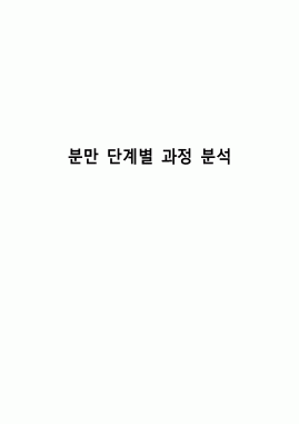 분만 단계별 과정 분석-1페이지