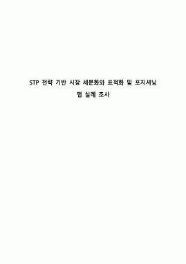 STP 전략 기반 시장 세분화와 표적화 및 포지셔닝 맵 실례 조사-1페이지