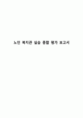노인 복지관 실습 종합 평가 보고서-1페이지
