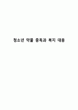 청소년 약물 중독과 복지 대응-1페이지