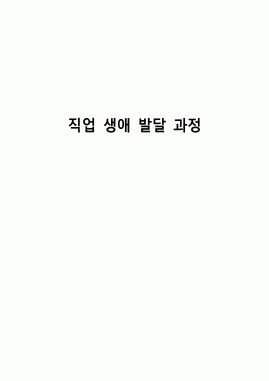 직업 생애 발달 과정-1페이지