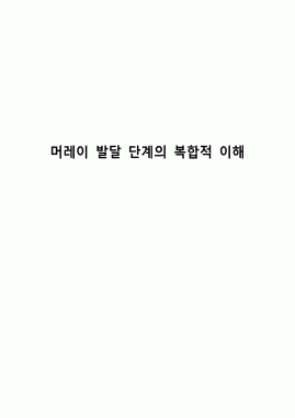 머레이 발달 단계의 복합적 이해-1페이지