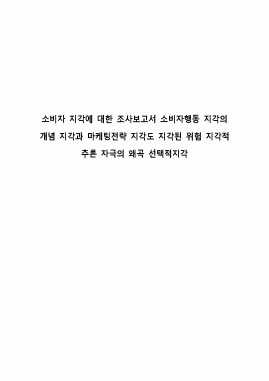 소비자 지각에 대한 조사보고서 소비자행동 지각의 개념 지각과 마케팅전략 지각도 지각된 위험 지각적 추론 자극의 왜곡 선택적지각-1페이지