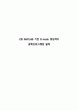 C와 MATLAB 기반 B mode 영상처리 공학프로그래밍 설계-1페이지