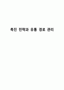 촉진 전략과 유통 경로 관리-1페이지